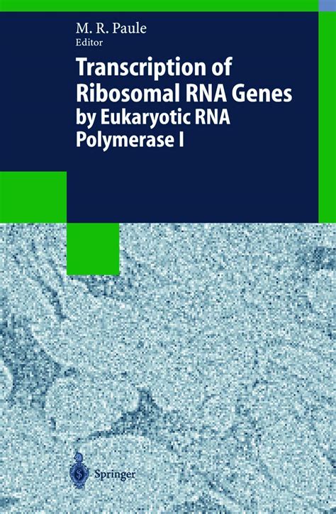 Amazon Transcription Of Ribosomal Rna Genes By Eukaryotic Rna