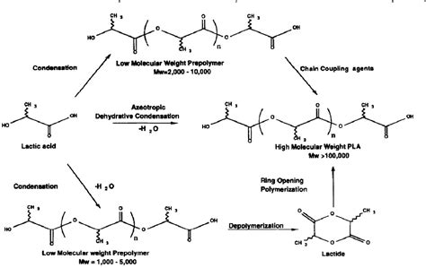 Figure 1 From A Review On Fully Bio Based Materials Development From