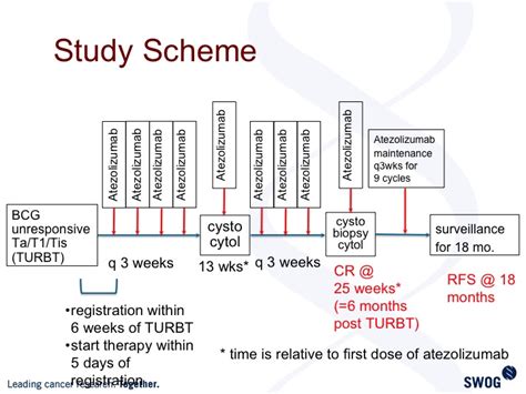 Bcg Unresponsive Disease A Roadmap For Drug Development And Integration Of Novel Therapies