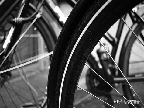 边开车边补胎？养猪业危机已显！大佬预警：技术沦为行业顽疾 知乎