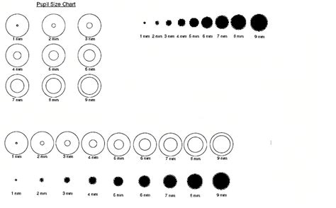 Pupil Size Charts Template Spark Premium Template Template Spark