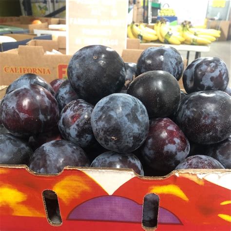 Pluots Information Recipes And Facts