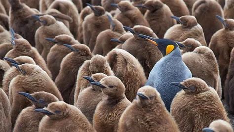 Floater Funds Floater Fund Meaning Floater Debt Fund Value Research