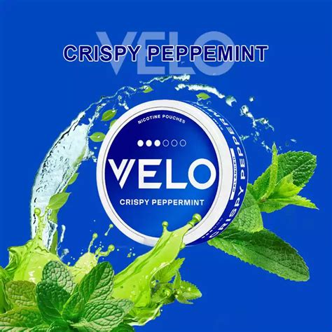Velo Nicotine Pouches Bulk Online Purchase Nicotine 6mg 10mg Various