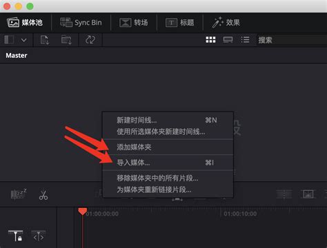 Mac 达芬奇Davinci Resolve 无法添加媒体 夏秋初 博客园