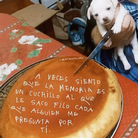 Pin De Andy Steven En Frases Frases Bonitas Frases Pintadas Frases Ilustracion