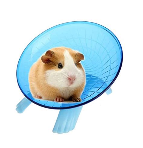 7 Best Guinea Pig Exercise Wheels For 2026 Mypetcarejoy