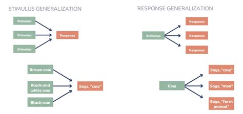 Generalization In Aba How To Ensure Skills Stick Across Settings
