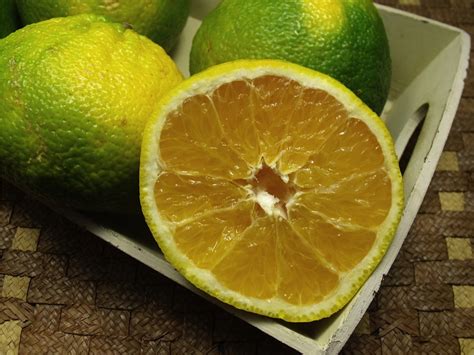 Ugli Fruit Marmalade Recipe Mama Likes To Cook