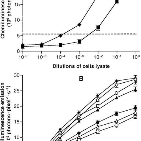 Calibration Curves Obtained For The Assay Of Amplification Products