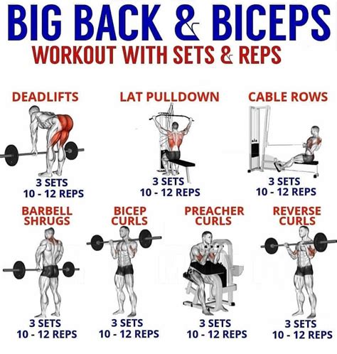 Back And Biceps Workout Gym Biceps Workout Back And Bicep Workout