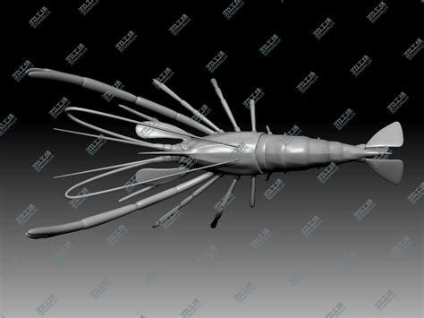 草虾 3d打印模型下载 3d工场 3dworkscn