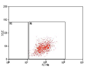 Introduction To Cell Sorting Flow Core Facility
