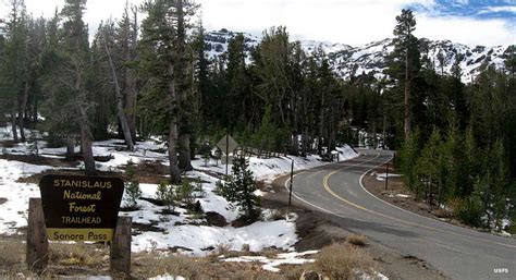 Stanislaus National Forest
