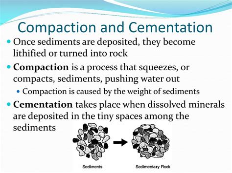 Ppt Sedimentary Rock Powerpoint Presentation Free Download Id2271110