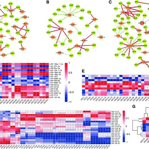 Correlation Analysis Between Mirnas And Intestinal Microbiota A D