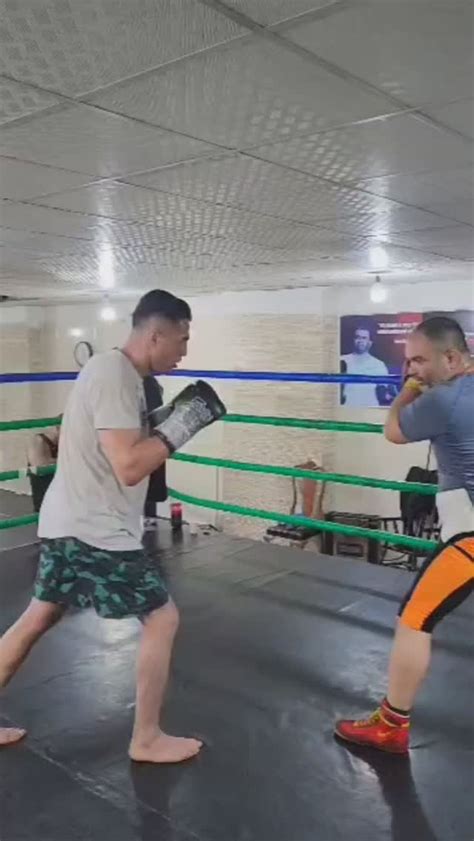 ‎masoud Minaei مسعود مینایی‎ Masoudminaei • Instagram Photos And Videos