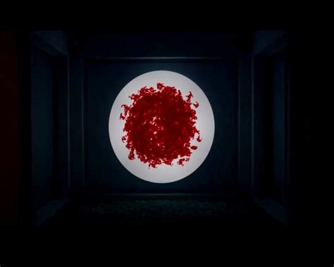 Michal Rovner Frequency 01102009 04012010 On Vimeo