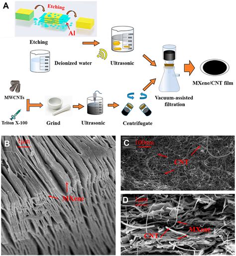 A Sem Image Of Mxene Cnt Au Membrane Cross Sectional Image B Download Scientific Diagram
