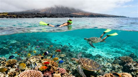 Your Ultimate Guide To Snorkeling Big Island Hawaii Kona Snorkel Trips