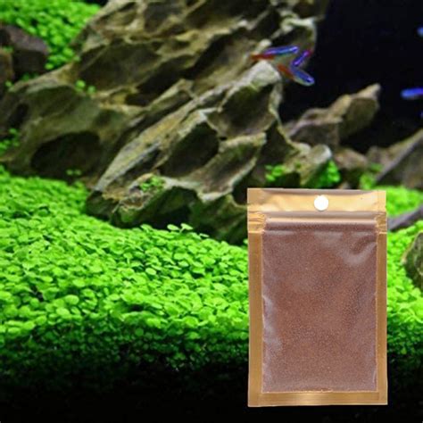 Lichengtai 2 Pack Aquarium Small Leaf Grass Seeds For Fish Tank
