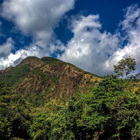 Mont Orohena Images Free Download On Freepik