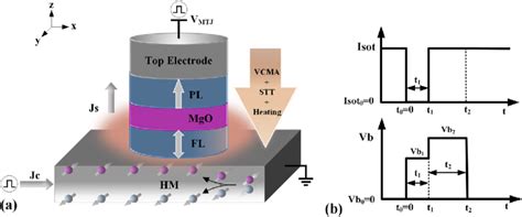 A The Schematic Of Three Terminal Mtj Device Containing The Interplay