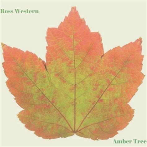Stream Amber Trees By Ross Western Listen Online For Free On Soundcloud