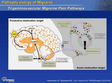 Pathophysiology Of Migraine