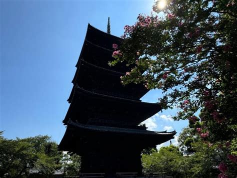 Kyoto Guided Tour Of Toji Temple With 5 Story Pagoda The Abroad Guide