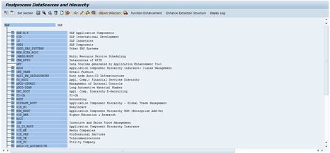 RSA SAP Tcode Maintain DataSources