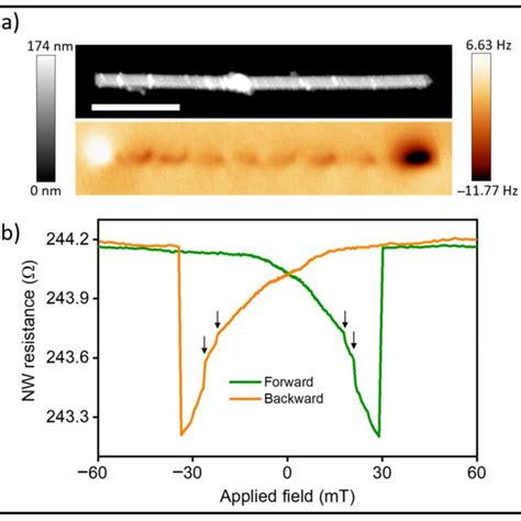 A Afm And B Mfm Image Of An Individual Co85ni15 Cu Nanowire Scale