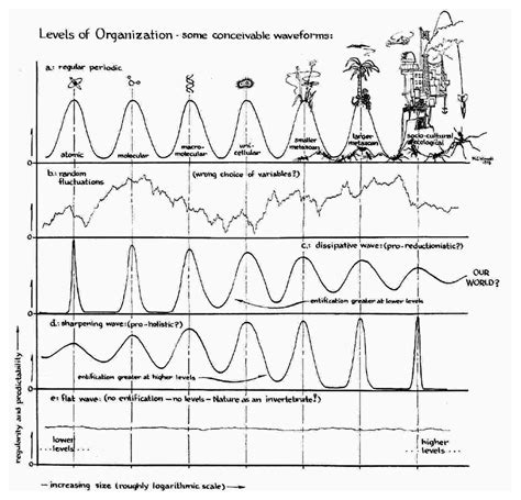 Levels Of Organization As Peaks Of Regularity And Predictability When
