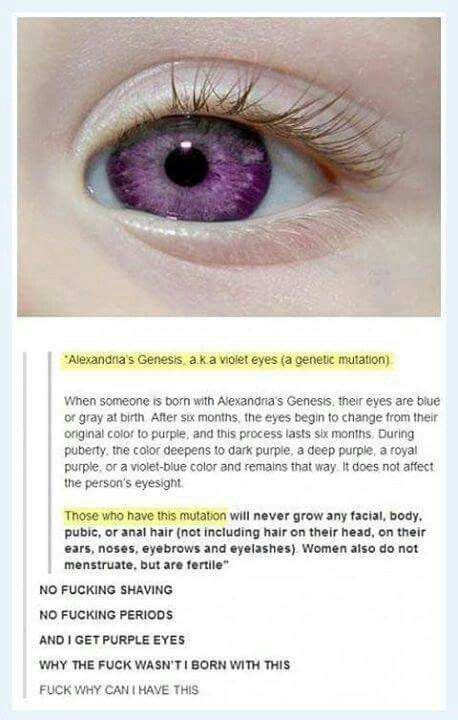 Purple Eye Mutation Tumblr