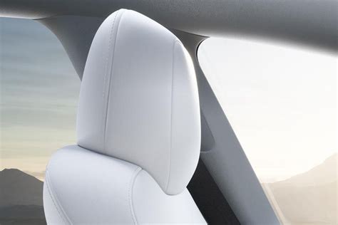 Remove Front Headrest Tesla Model Y At Michelle Baldwin Blog