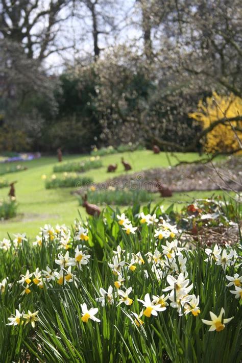 Easter Scene Stock Image Image Of Flowers Yellow Bunnies 685639