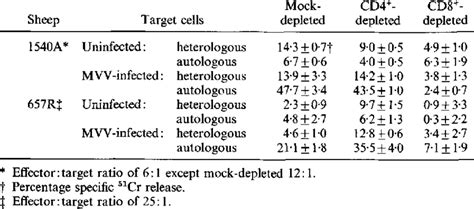 Ctl Assay Using Effector Populations Of Cultured Peripheral Blood