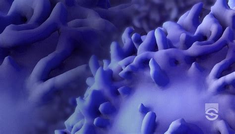 ‏nk Cells Are Lymphocytes That Provide Defense Against Pathogens And