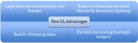 New General Ledger By Sap Ecc 6 0