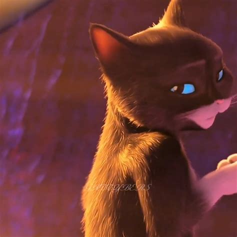 Aquí Hay Amor🧡🖤😻 Pussinboots Pussinboots2 Kittysoftpaws Nosequeponerxd Viralshorts Youtube