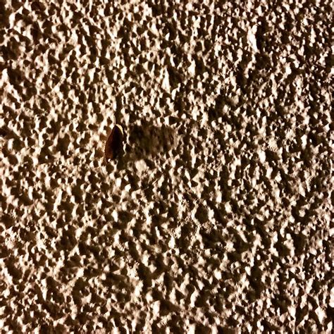 Foliage Photograph By Mohammad Elyassi Fine Art America