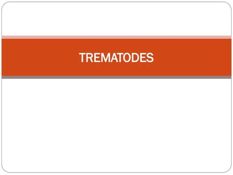 Trematodes Flukes Faltworms Platyhelminthesppt