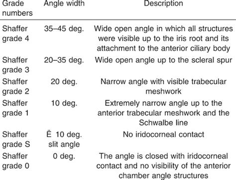 Ophthalmology Notes Shaffer System Gonioscopy