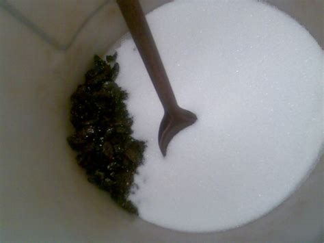 Bens Adventures In Wine Making Prune And Parsnip Wine 2018 The Making Of