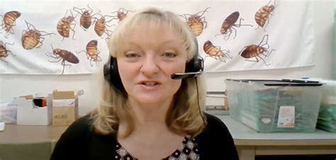 Misapplication Of Ipm And German Cockroach Infestations In The Us