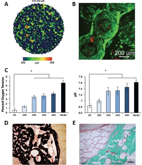 Figure 1 From Biomaterial Directed Cell Behavior For Tissue Engineering Semantic Scholar