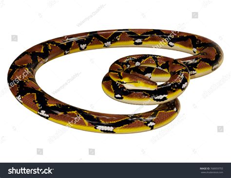 3d Rendering Reticulated Python Python Reticulatus Ilustración De