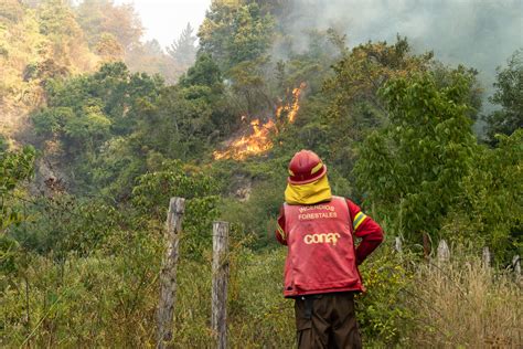 Qué Son Los Incendios Forestales Explicación Para Niños