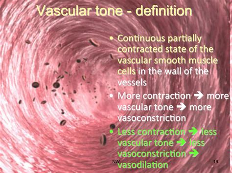 Vascular Tone And Tissue Perfusion Pdf