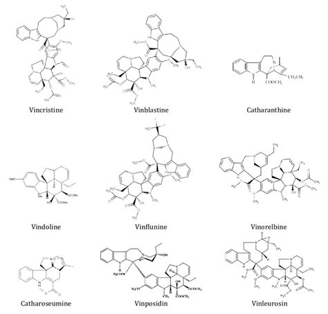 Chemical Structure Of Main Bioactive Alkaloids From C Roseus Vinca Download Scientific Diagram